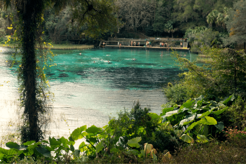 Explore The Beauty and Wonders of Rainbow Springs State Park - Mama Say ...