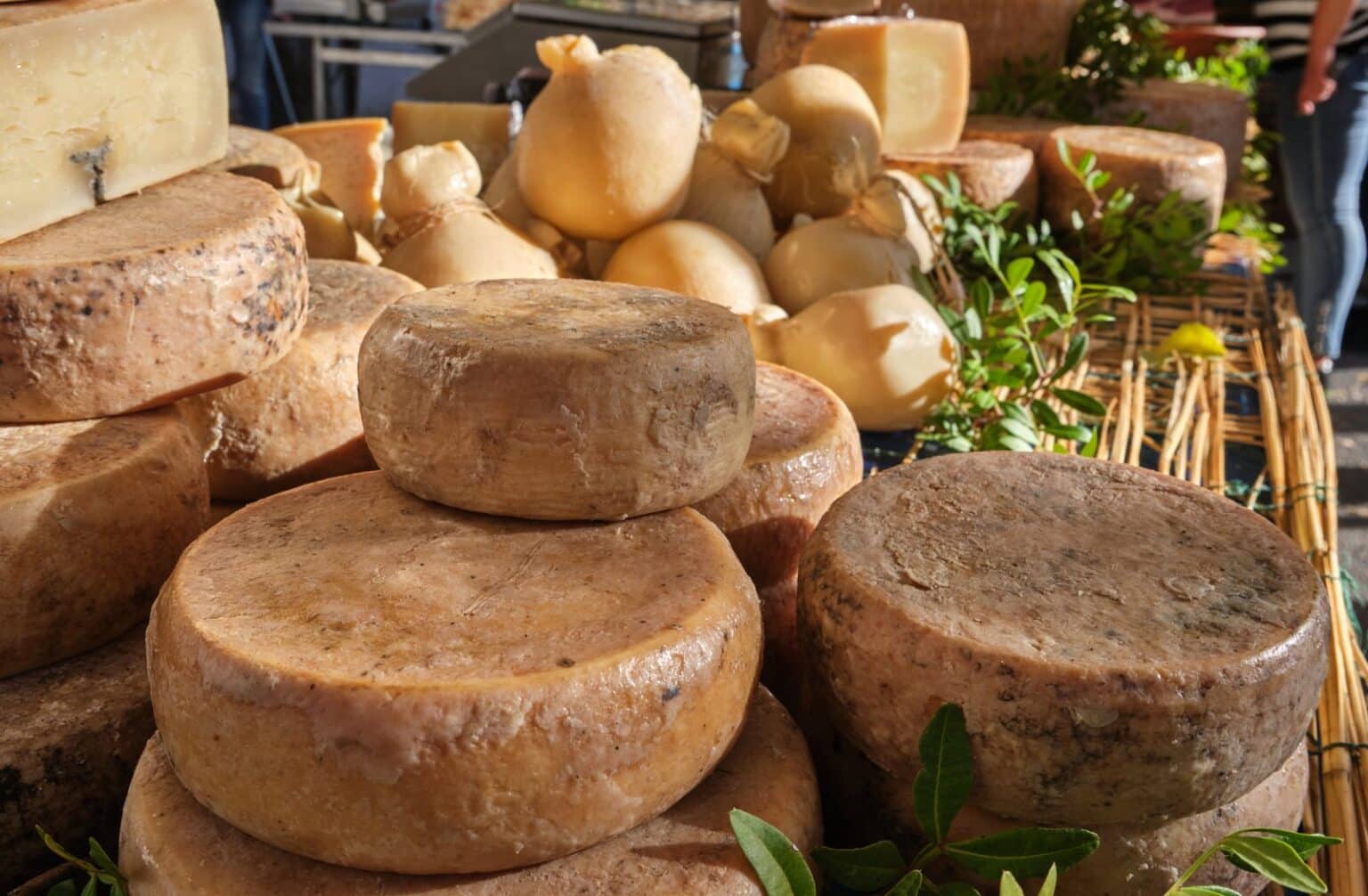 17 Illegal Cheeses and Why - America's Forbidden Dairy - Mama Say What?!