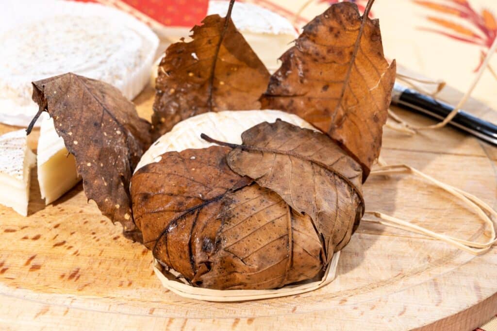 17 Illegal Cheeses and Why - America's Forbidden Dairy - Mama Say What?!