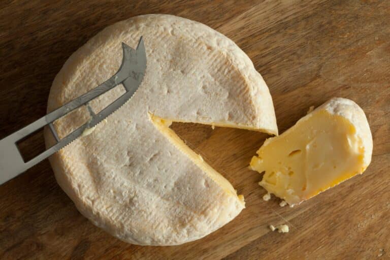 17 Illegal Cheeses and Why - America's Forbidden Dairy - Mama Say What?!