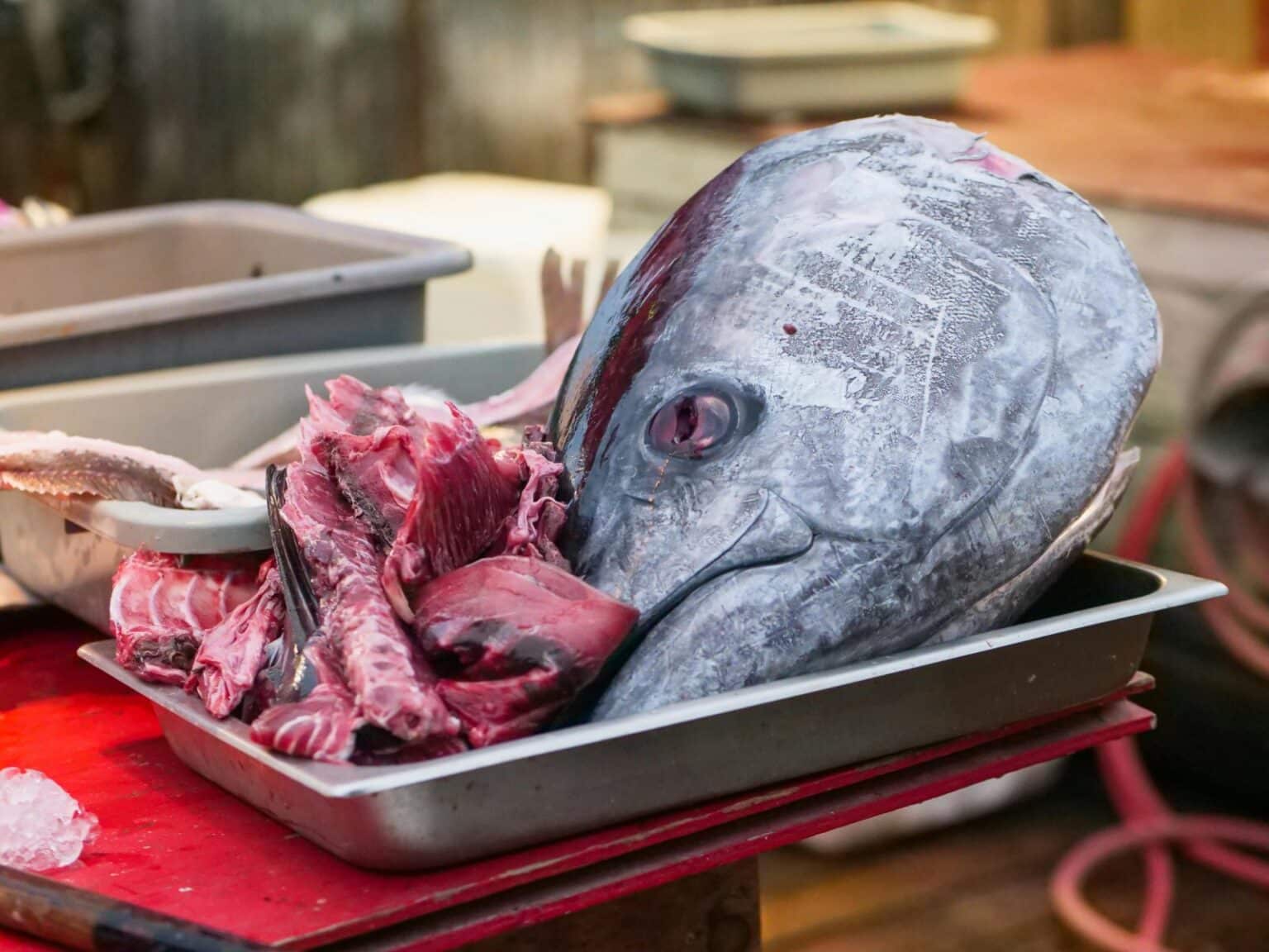 20 Weirdest Food Trends from Around the World - Mama Say What?!